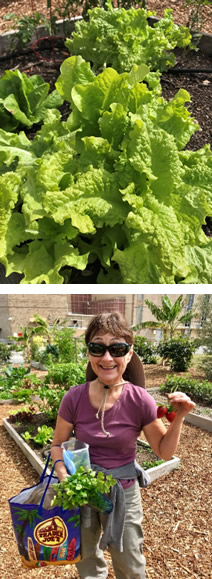 Growing Our Support in the Community and Joining Forces to Foster Drug ...